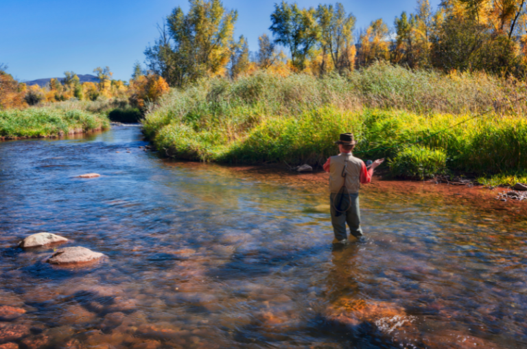 The 15 Best Fly Fishing Rivers in Colorado: Expert Guide