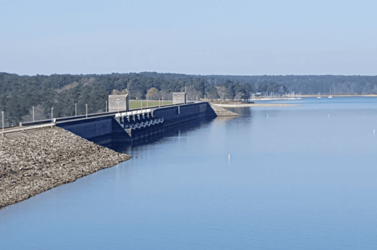 The 16 Best Bass Fishing Lakes in Georgia: 2025 Guide