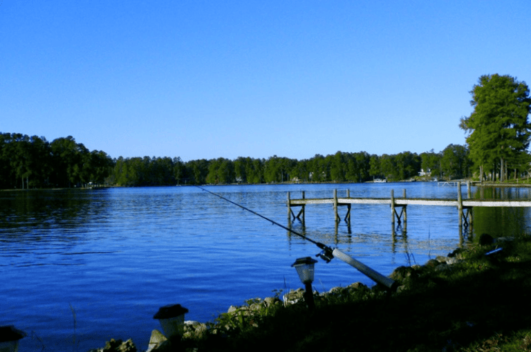 The 16 Best Bass Fishing Lakes in Georgia: 2025 Guide