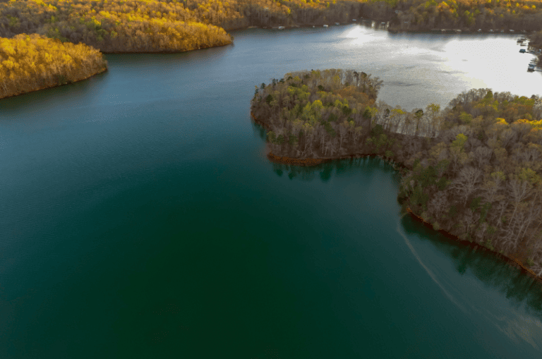 The 16 Best Bass Fishing Lakes in Georgia: 2025 Guide
