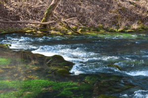 The 15 Best Places to Go Fly Fishing in Missouri: With Maps