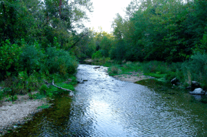 The 15 Best Places to Go Fly Fishing in Missouri: With Maps