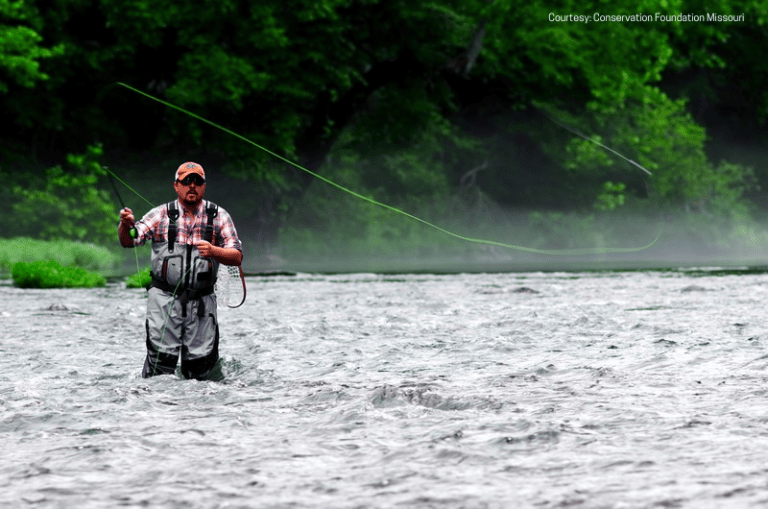 The 15 Best Places to Go Fly Fishing in Missouri: With Maps