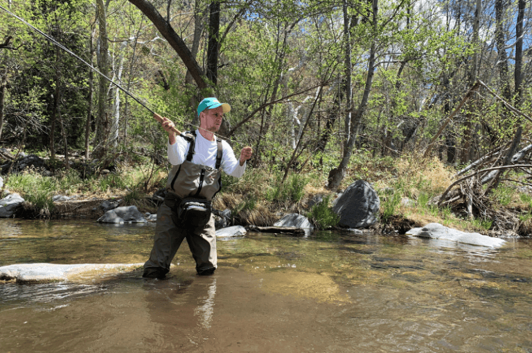The Best Trout Fishing in Arizona 2025: 14 Top Rivers and Lakes