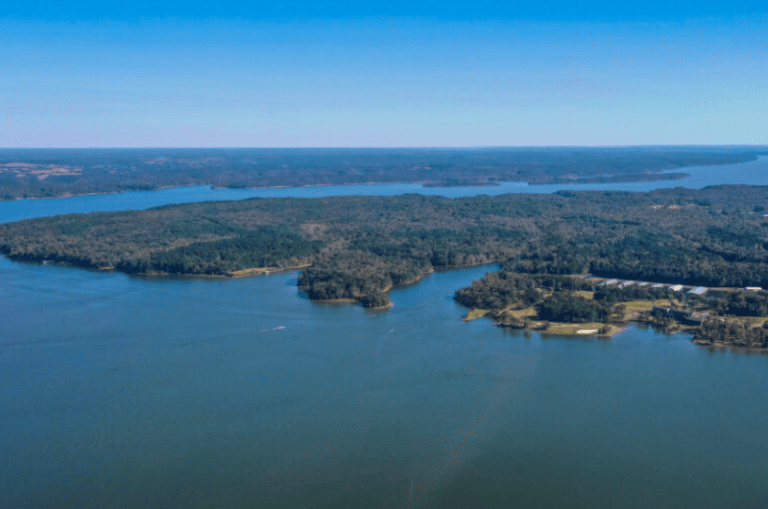 The 15 Best Bass Fishing Lakes in Alabama: Local Expert Guide