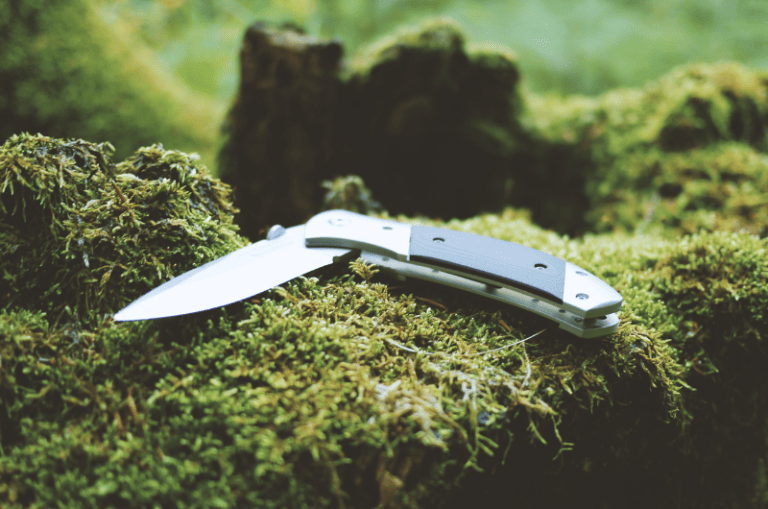 The 10 Best Fishing Knives of 2025: Expert Guide