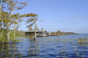 The 15 Best Bass Fishing Spots in Florida (2025): Expert Guide