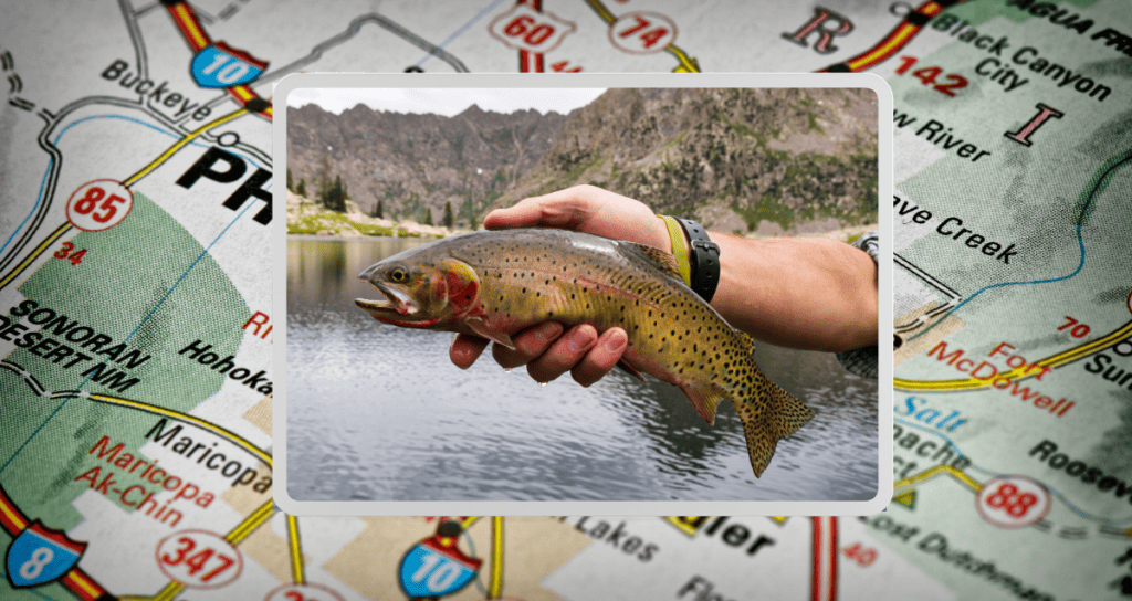 Arizona Fishing: Advice on Spots for Bass, Trout and More