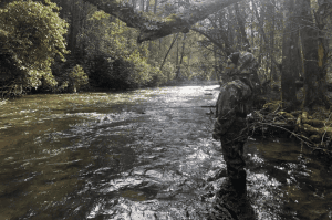 The Best 12 Places To Go Fly Fishing in Georgia (And How To Fish Them)