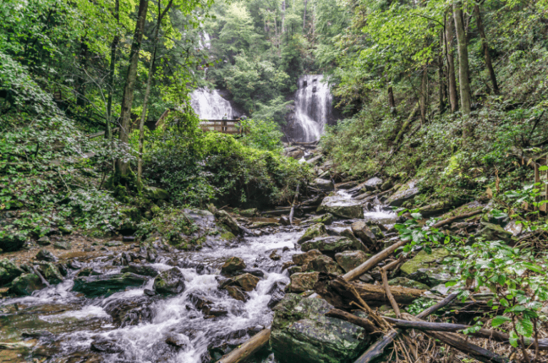 The 18 Best Trout Fishing Rivers and Lakes in Georgia: Full 2026 Guide