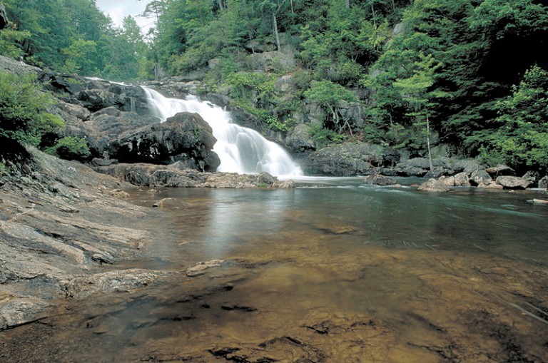 The 18 Best Trout Fishing Rivers and Lakes in Georgia: Full 2026 Guide