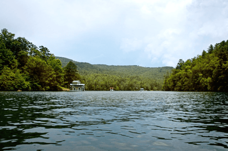 The 18 Best Trout Fishing Rivers and Lakes in Georgia: Full 2026 Guide