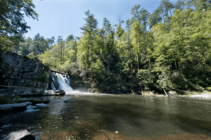 15 Best Trout Fishing Rivers and Lakes in Tennessee: Expert Guide