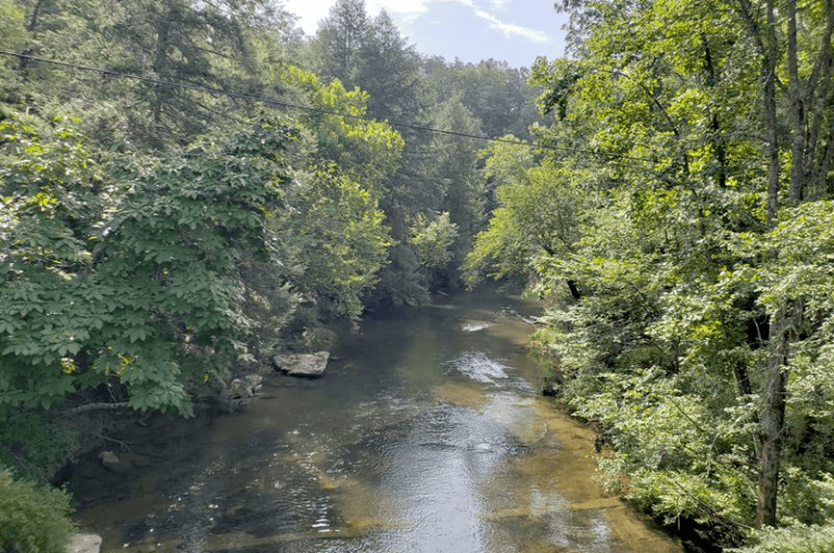 15 Best Trout Fishing Rivers and Lakes in Tennessee: Expert Guide