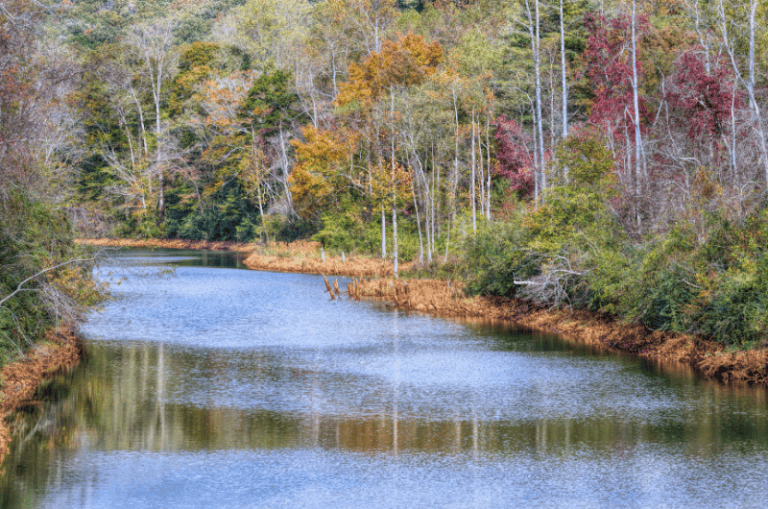 15 Best Trout Fishing Rivers and Lakes in Tennessee: Expert Guide