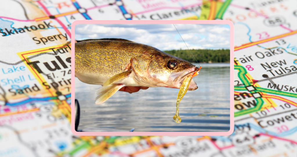 Oklahama Fishing: Tips, Fish Species & Where To Go