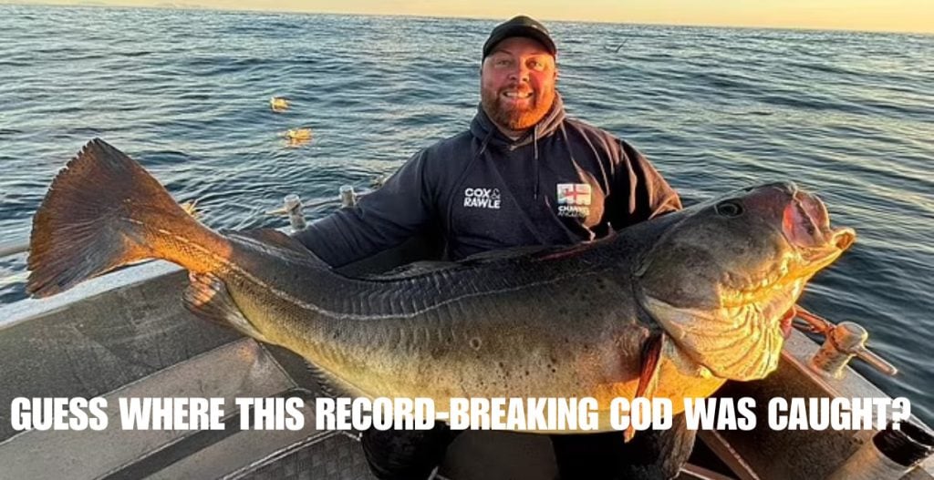The Best 50 Fishing Memes: Funniest, Sauciest and More
