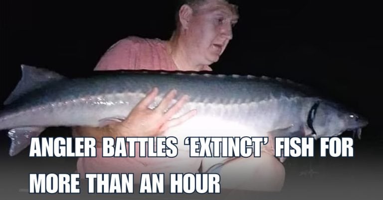 Float Fishing Setup: How to Rig a Bobber the Easy Way – Tackle Village