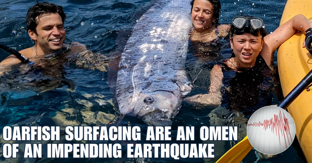 Bottom Bouncer Rig for Walleye: Set Up Guide + How to Fish