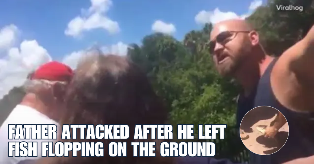 The Best 50 Fishing Memes: Funniest, Sauciest and More