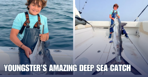 The Shaky Head Rig: How to Fool Big Bass With Finesse Worms